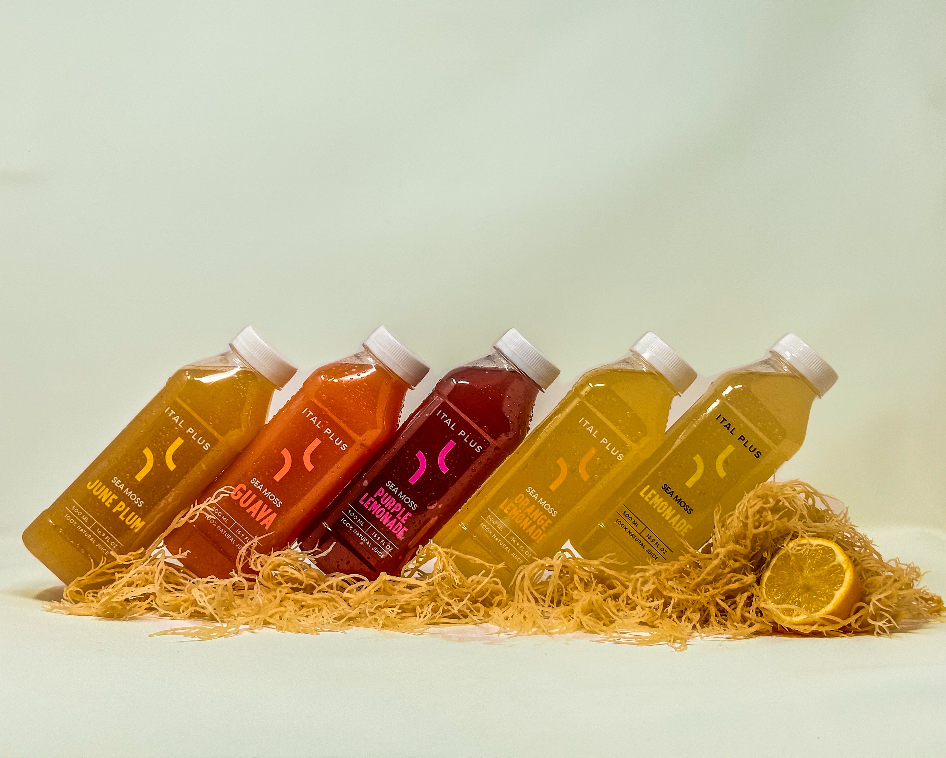 ITAL PLUS | Sea Moss Juices and Gels – Ital Plus